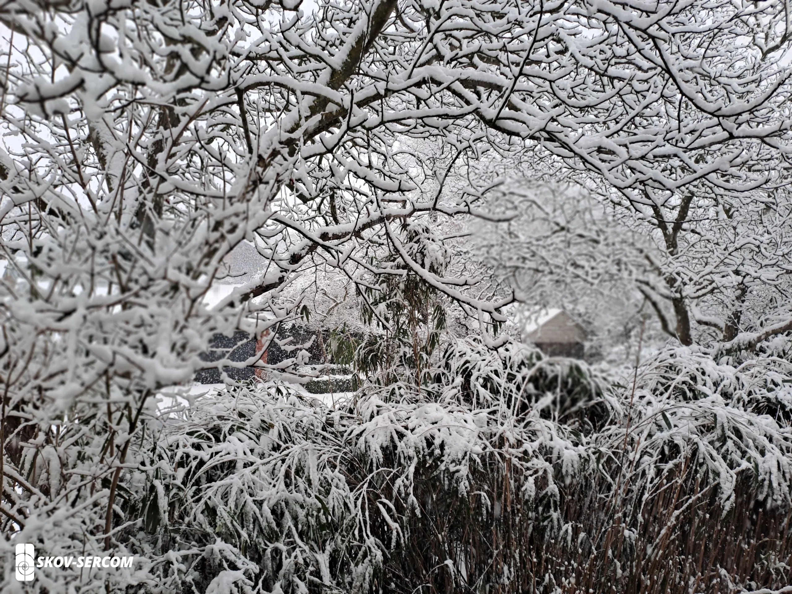 Winter wonderland 2026